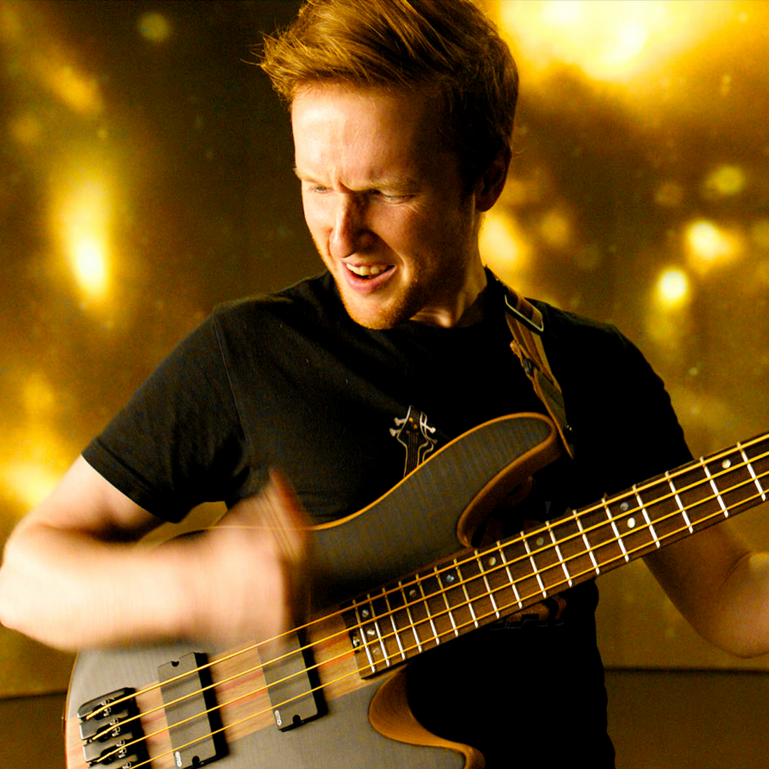 Elevated — Wav – Bass Camp